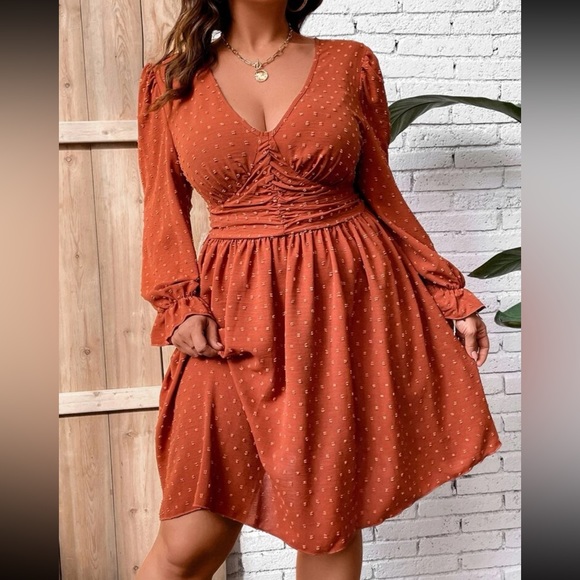 Dresses | Plus Size Rust Brown Swiss Dot Dress | Poshmark